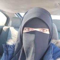 Appcake Email, Phone Number, Employees, Competitors