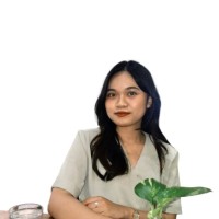 Vehicle Databases Email, Phone Number, Employees, Competitors