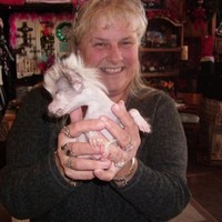 Paulette Cox Email address & phone number | teacher at texas ...